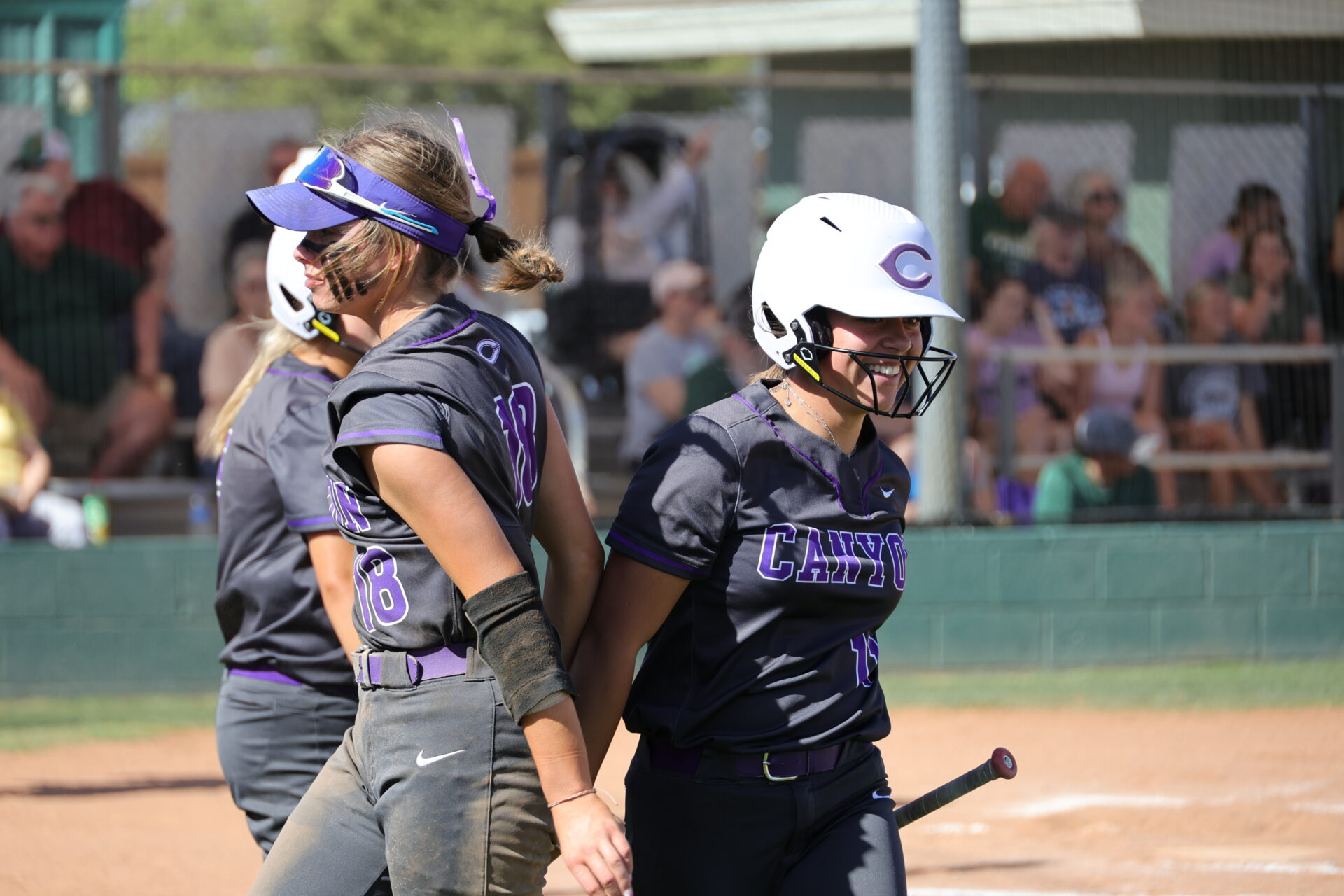 District softball roundup: Canyon clinches share of 4-4A title ...