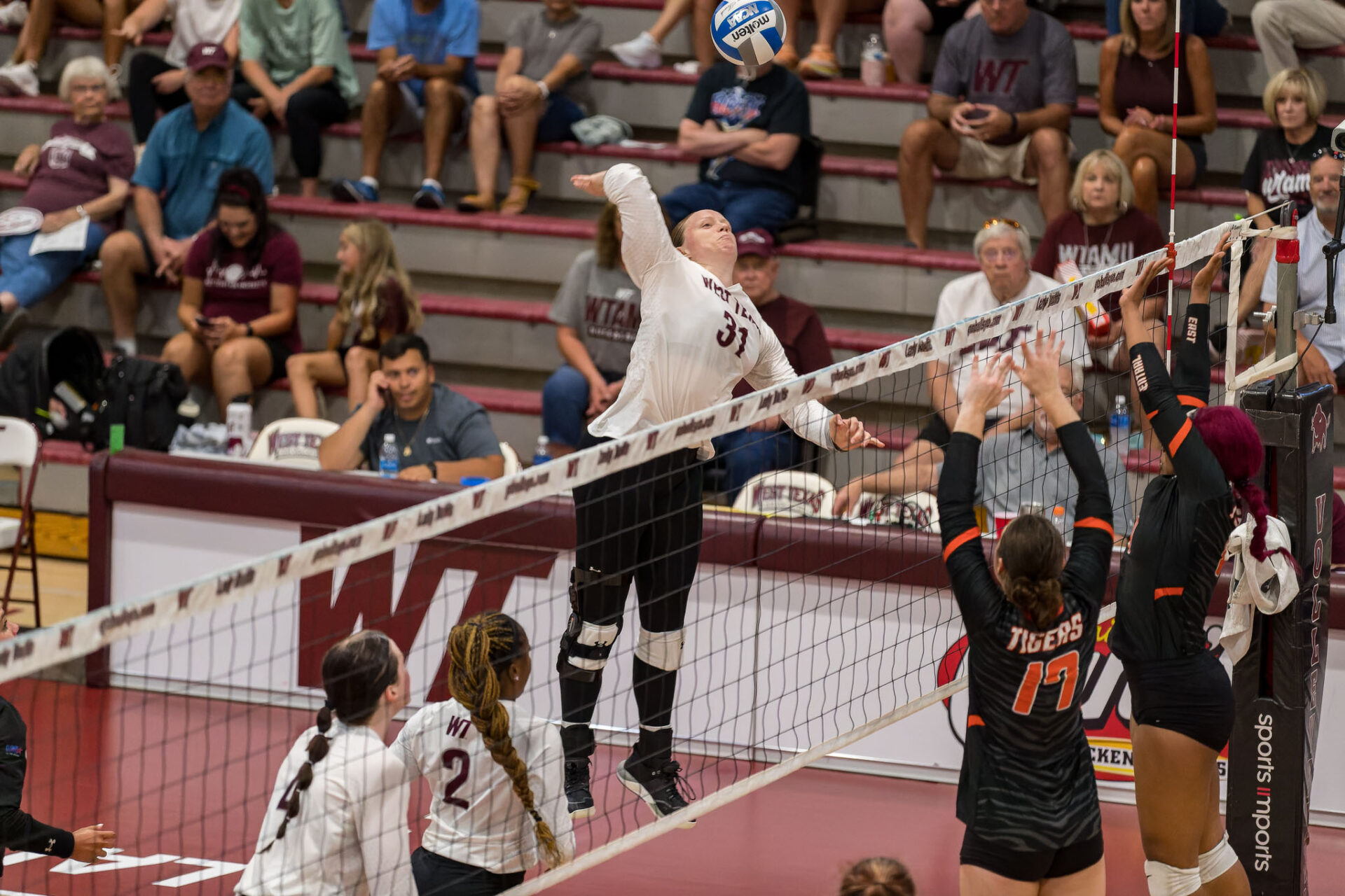 WTAMU volleyball team opens 2023 season on fire at Britkare Lady Buff ...