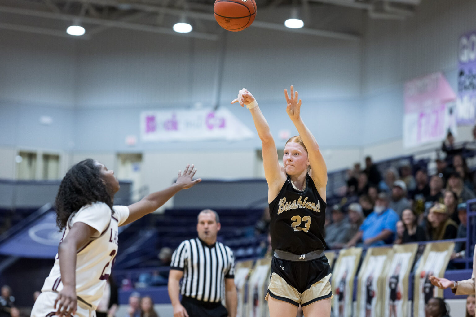 Bushland Lady Falcons edge Littlefield to win Class 3A Division I bi ...