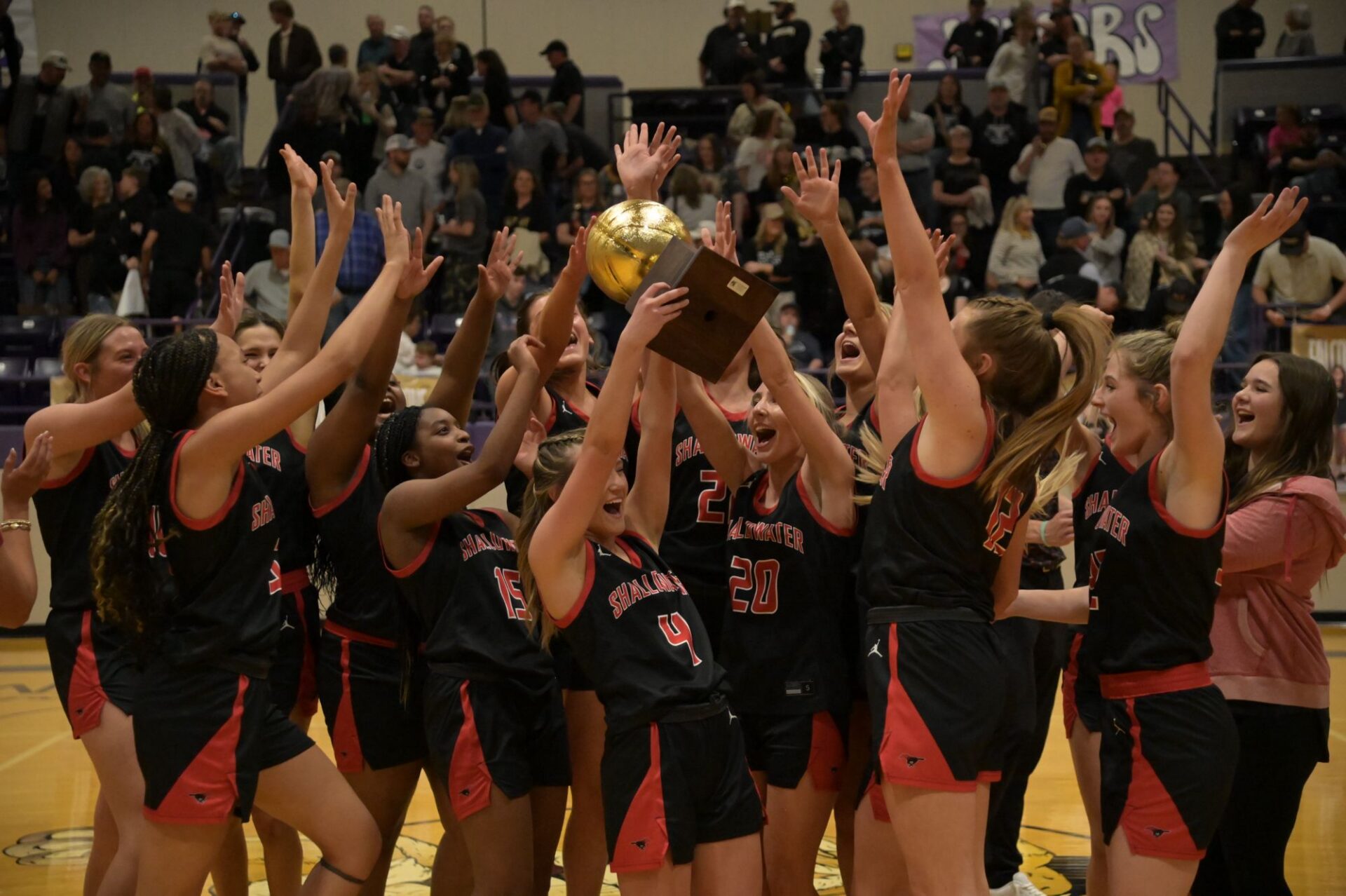 Shallowater handles Bushland to win UIL Region I-3A Division I ...